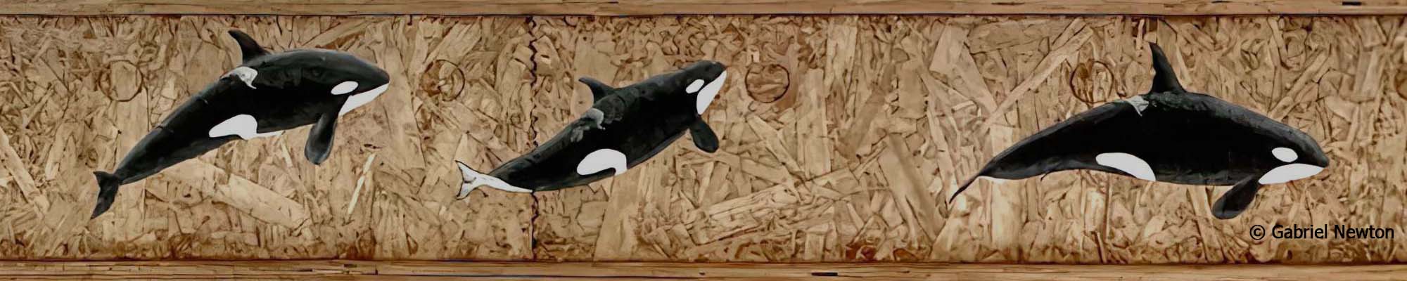 Northwest Artists Against Extinction - Gabriel Newton