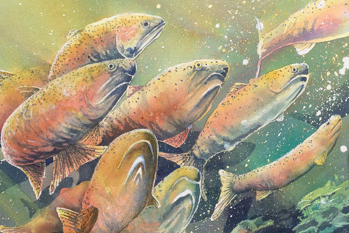 Northwest Artists Against Extinction - NWAAE Poster Competition 2024 ...